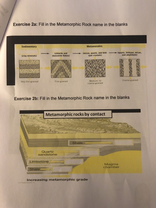 Solved Exercise 2a: Fill in the Metamorphic Rock name in the | Chegg.com
