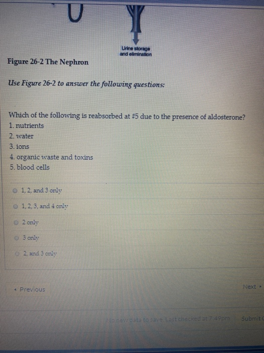Solved Question 12 e elan Figure 26-2. The Nephron Urine | Chegg.com Solved Question 12 e elan Figure 26-2. The Nephron Urine | Chegg.com