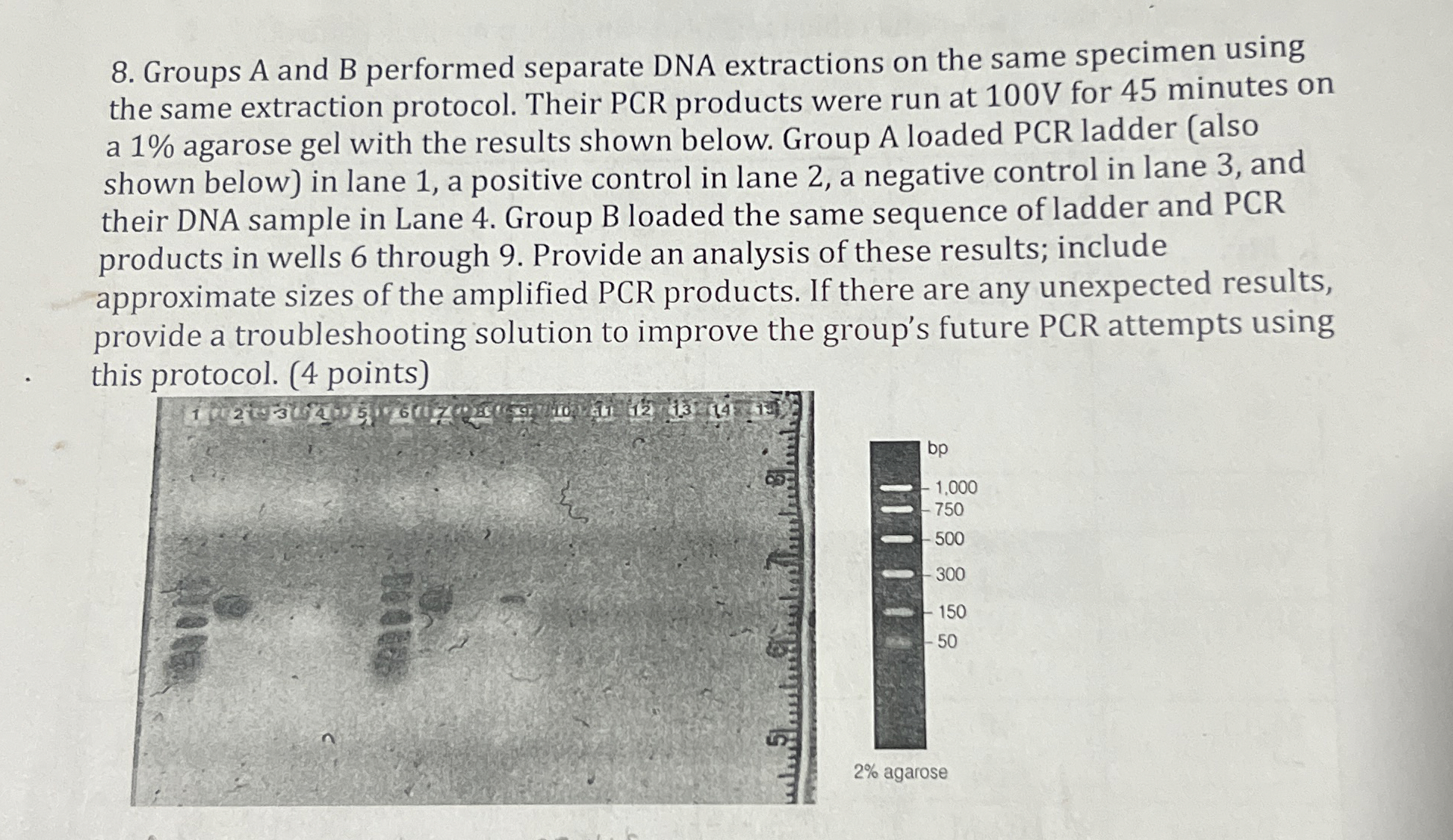 Solved Groups A and B performed separate DNA extractions on | Chegg.com
