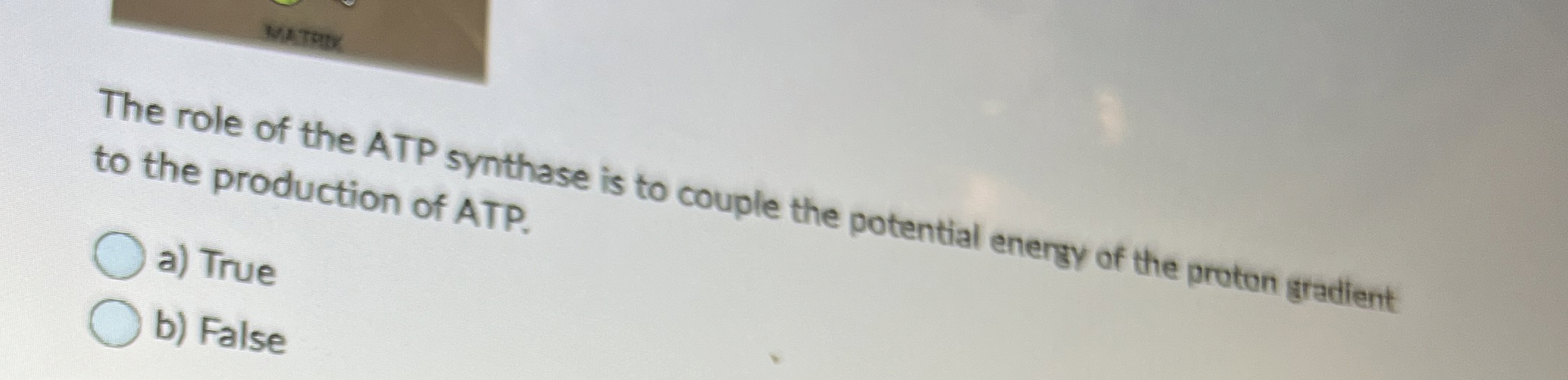 Solved The role of the ATP synthase is to couple the | Chegg.com