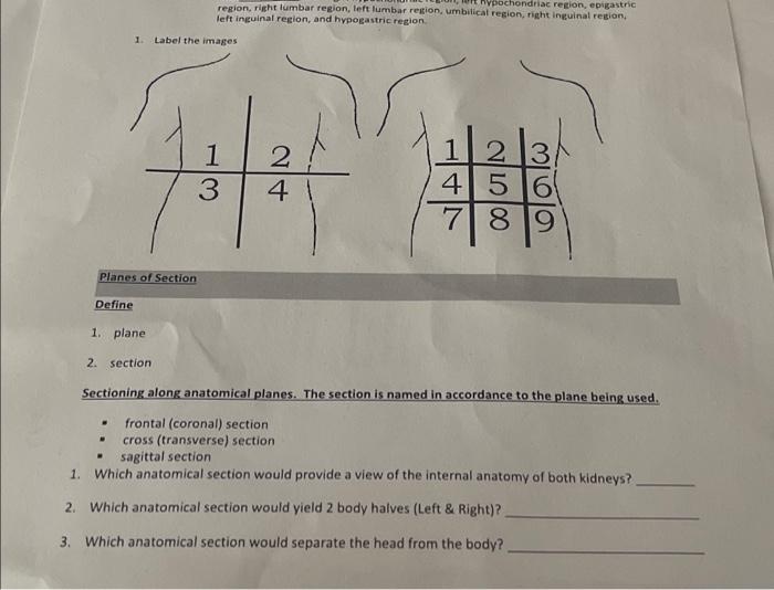 Solved Planes of Section Define 1. Label the images 1. plane | Chegg.com