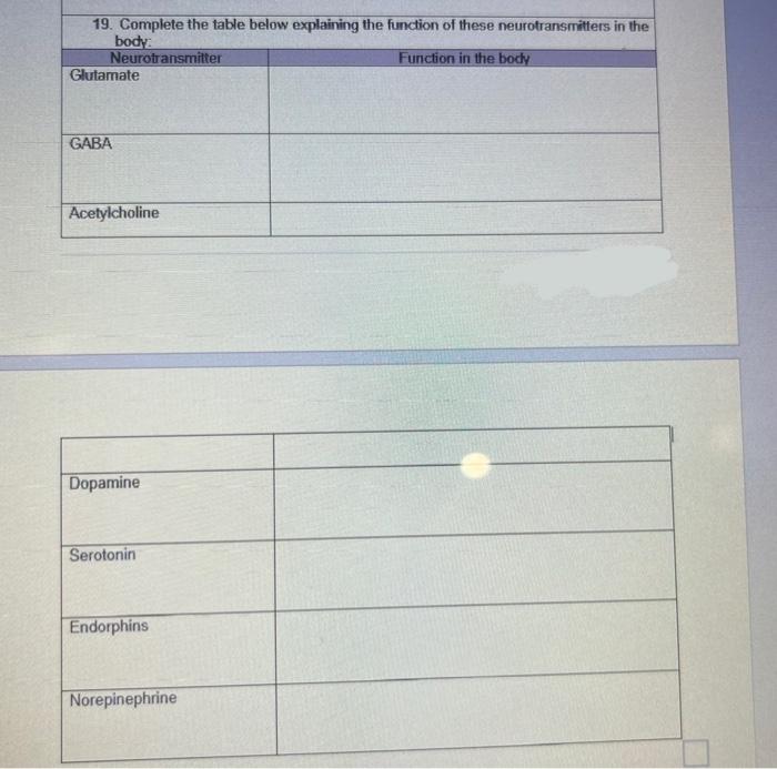 Solved 19. Complete the table below explaining the function | Chegg.com