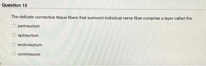 Solved Question 13 The delicate connective tissue fibers | Chegg.com Solved Question 13 The delicate connective tissue fibers | Chegg.com