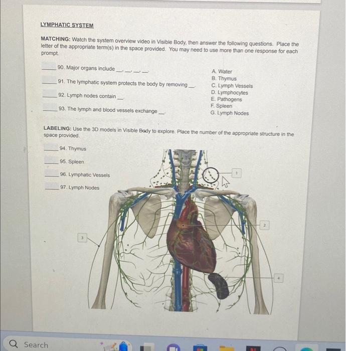 MATCHING: Watch the system overview video in Visible | Chegg.com