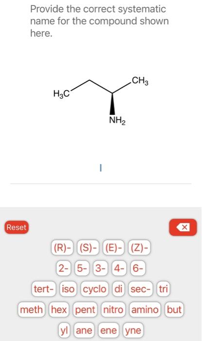 Solved The common feature of all primary amines is the | Chegg.com