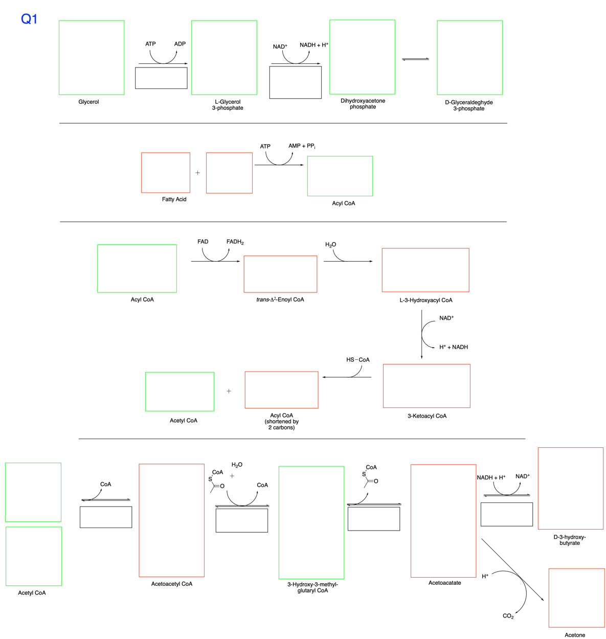 Biochemistry. When you answer, please use the picture | Chegg.com