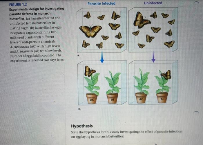 1. hypothesis2. for the monarch butterfly experimenr | Chegg.com