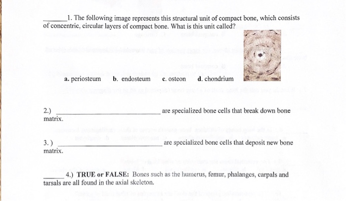 Solved _1. The following image represents this structural | Chegg.com