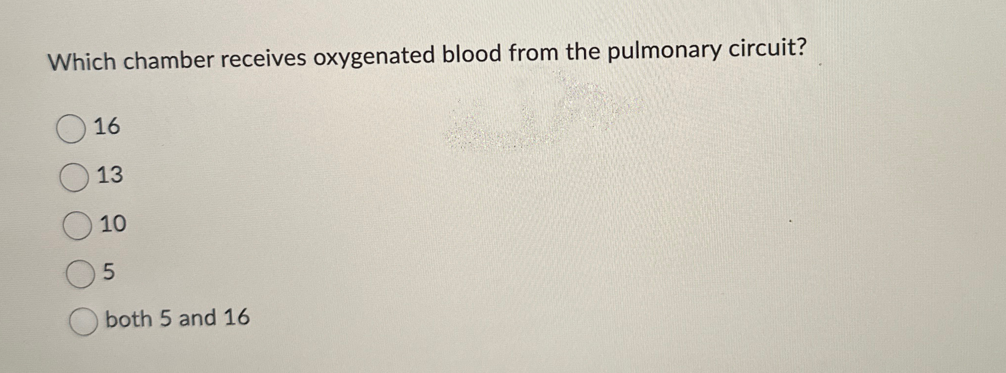Solved Which chamber receives oxygenated blood from the | Chegg.com