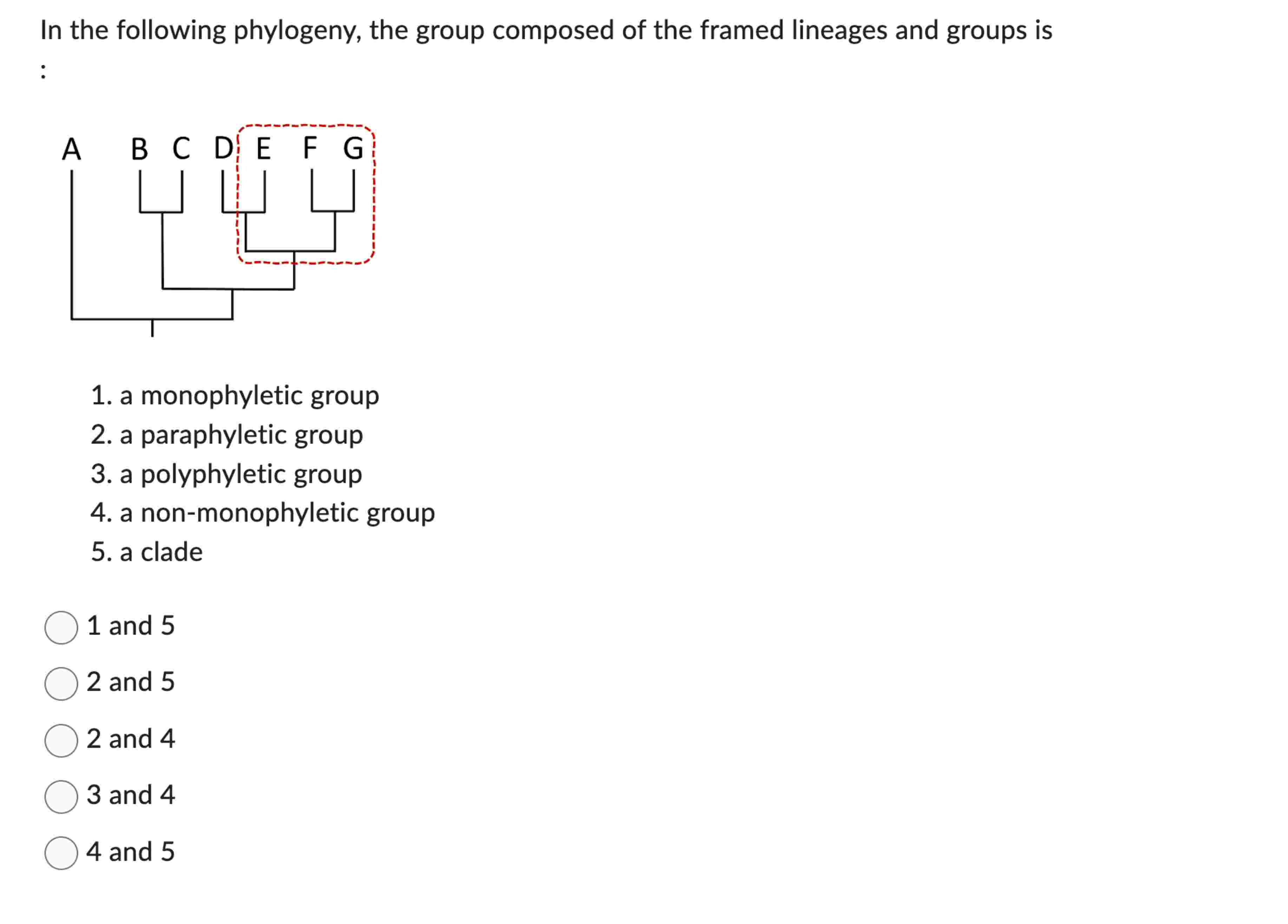 Solved In the following phylogeny, the group composed of the | Chegg.com