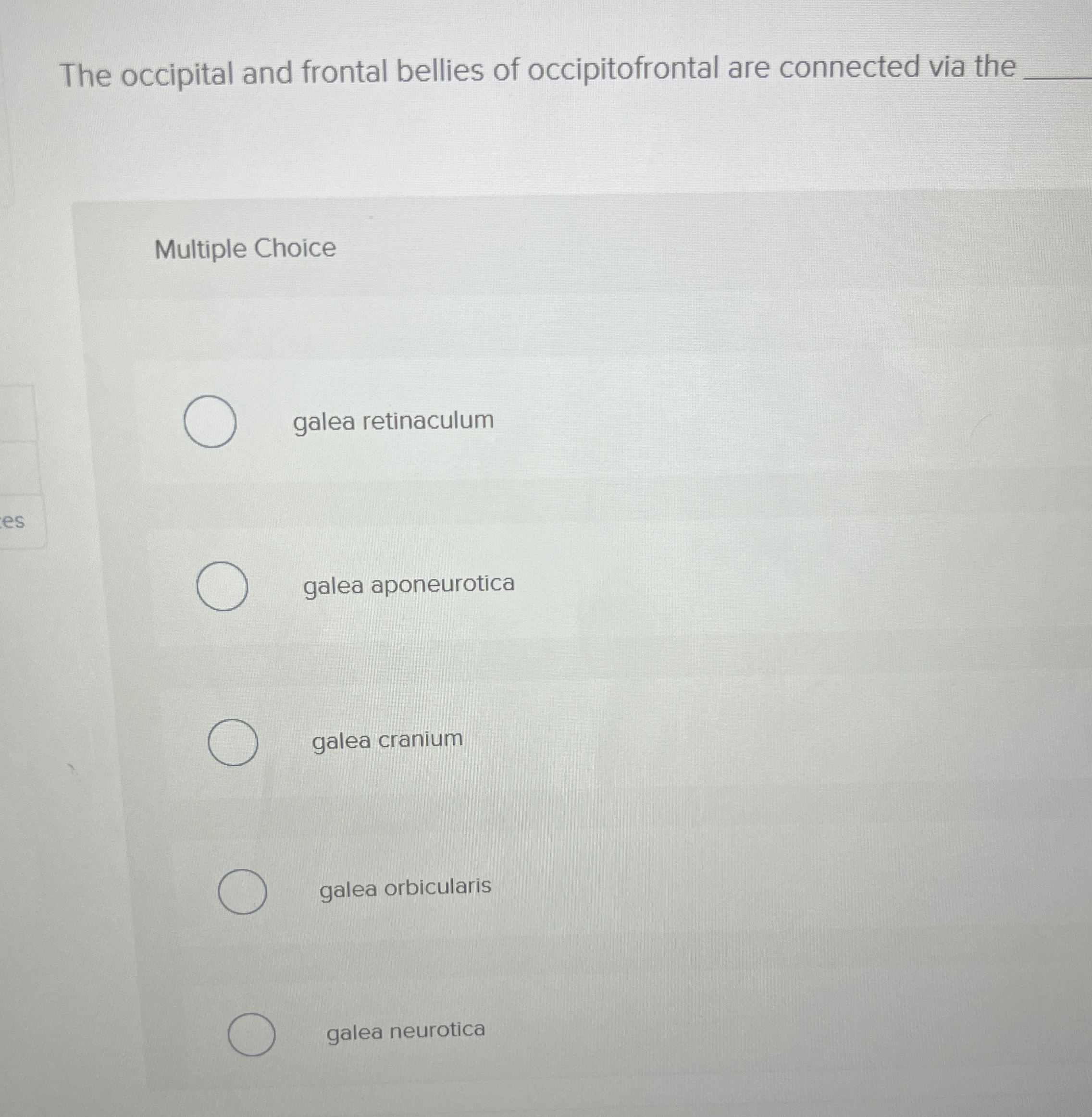 Solved The occipital and frontal bellies of occipitofrontal | Chegg.com