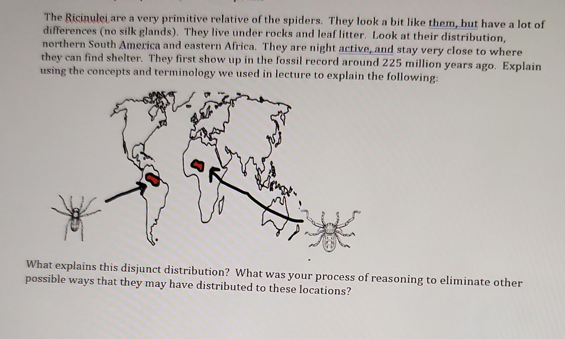 Solved The Ricinulei are a very primitive relative of the | Chegg.com