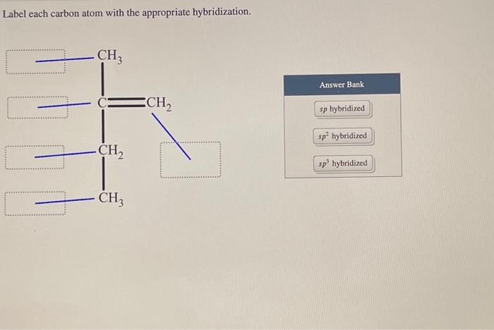 Solved Label each carbon atom with the appropriate | Chegg.com