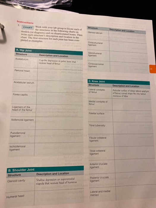 Solved Structure Instructions CHART Work with your lab group | Chegg.com
