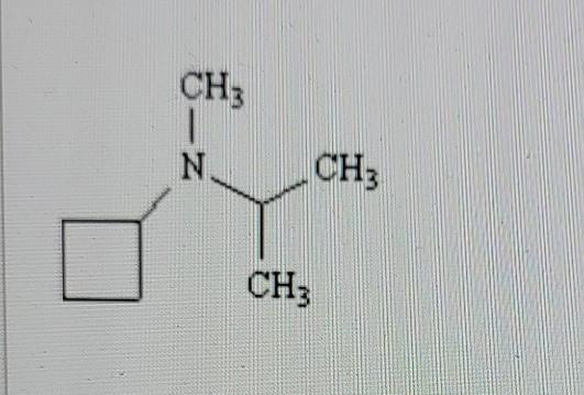 Solved CH3 N. CH3 CH3 | Chegg.com