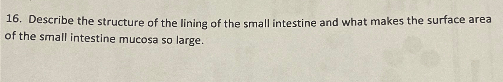 Solved Describe the structure of the lining of the small | Chegg.com