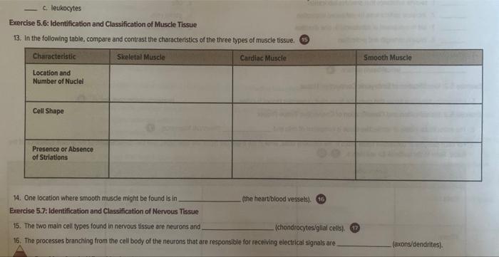 Solved 3. Match the function listed in column A with the | Chegg.com