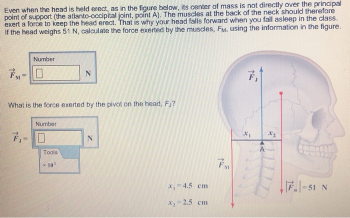 Solved Even when the head is held erect, as in the figure | Chegg.com