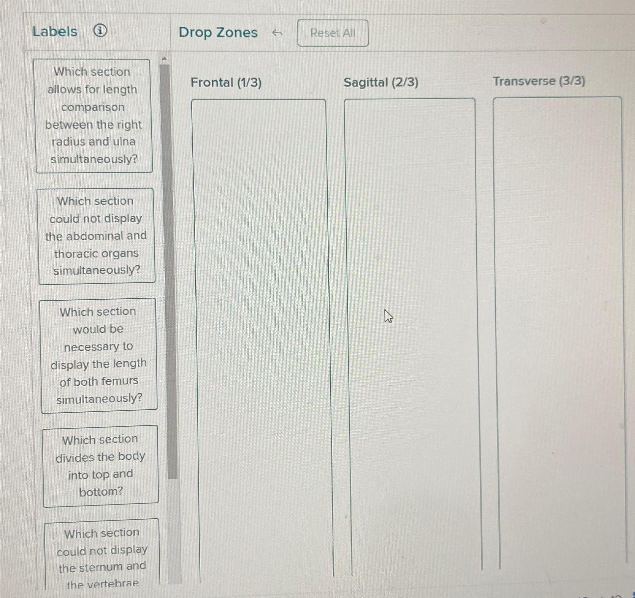 Solved place each of the labels in the box designating, | Chegg.com
