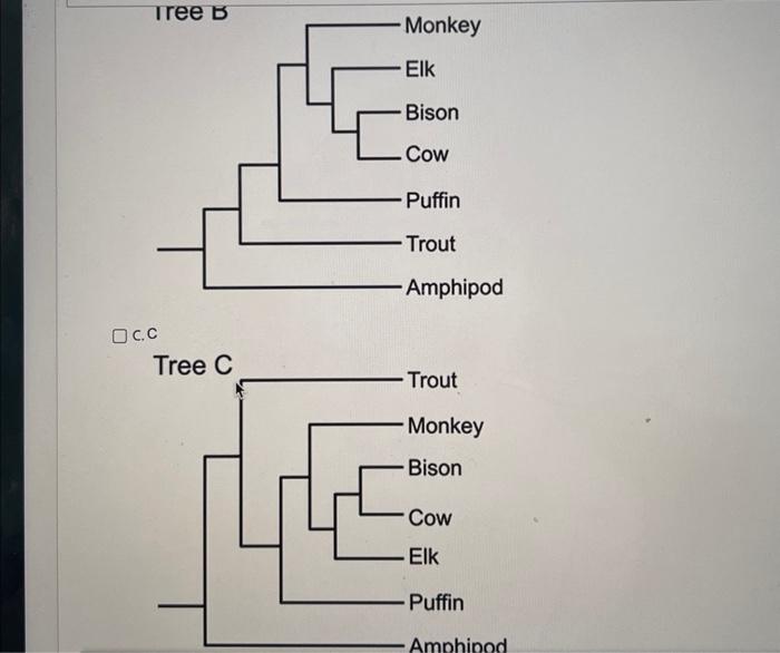 Solved Consider the phylogenetic trees below. Choose all the | Chegg.com
