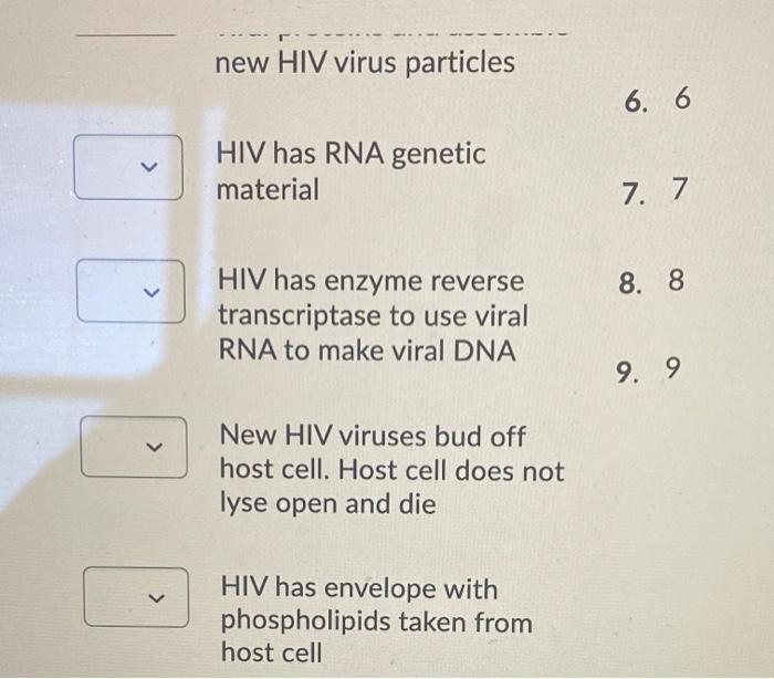 Solved Viral RNA Reverse transcriptase 2 4 5 wana Viral DNA | Chegg.com