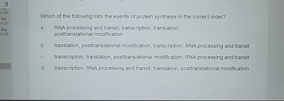 Solved Which of the following lists the events of protein | Chegg.com
