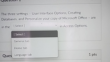 Solved The three settings - ﻿User Interface Options, | Chegg.com