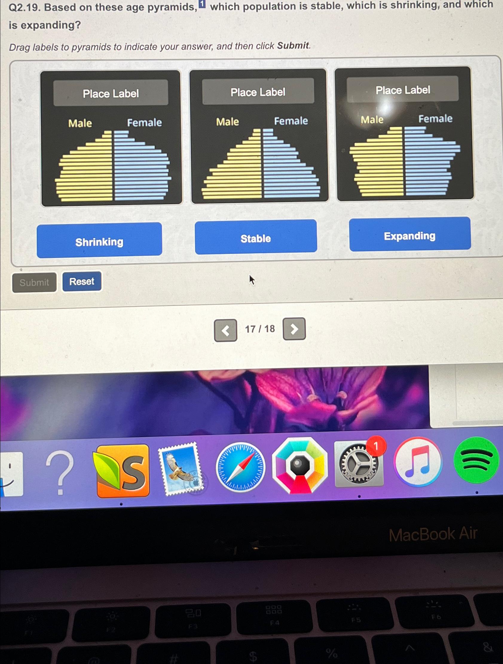 Solved Q2.19. ﻿Based on these age pyramids, 1 ﻿which | Chegg.com
