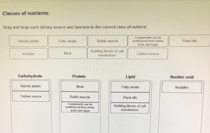 Solved: Classes Of Nutrients Drag And Drop Each Dietary So... | Chegg.com