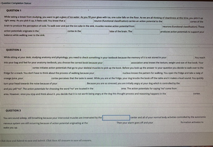 Solved Question Com QUESTION 1 While taking a break from | Chegg.com