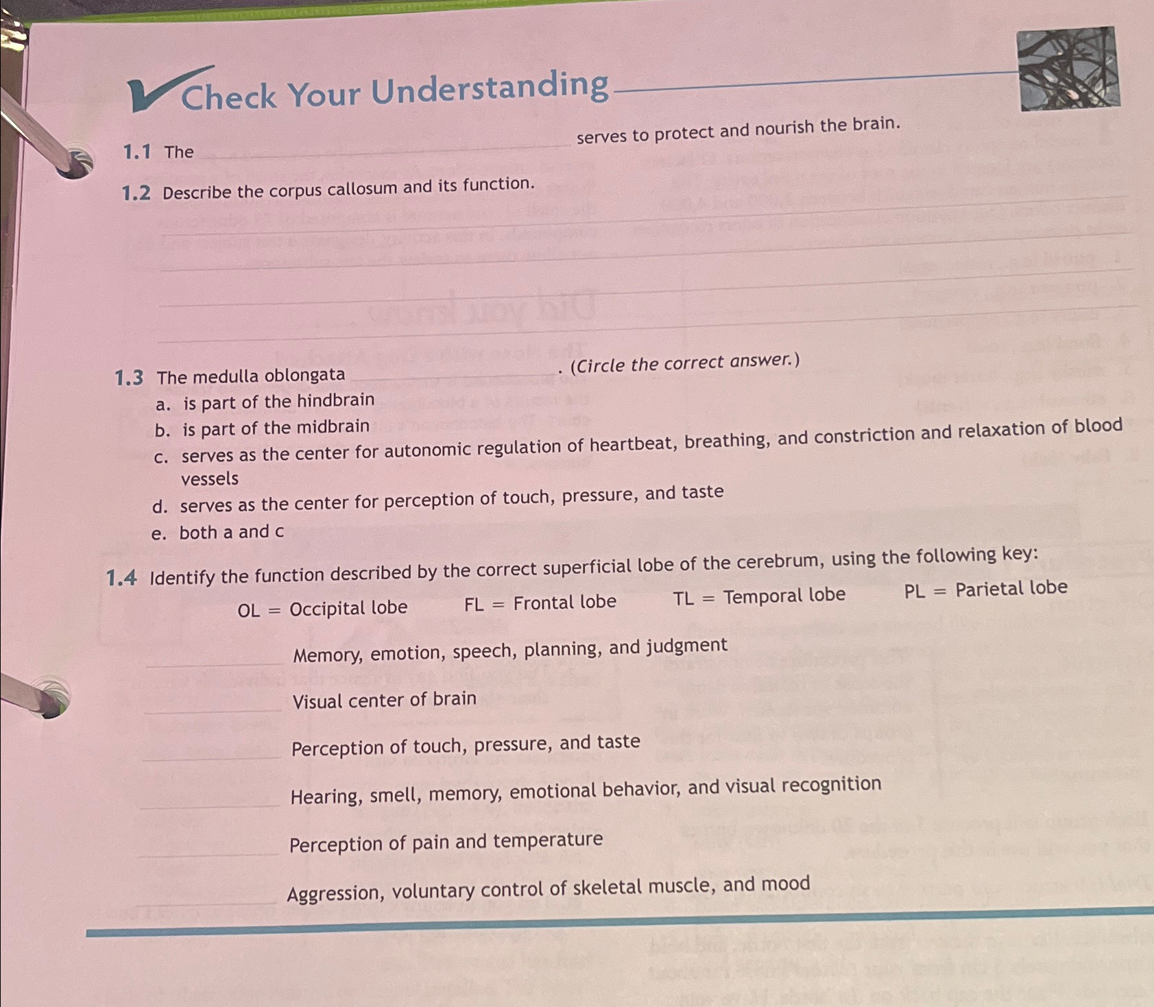 Solved Check Your Understanding1.1 ﻿The serves to protect | Chegg.com