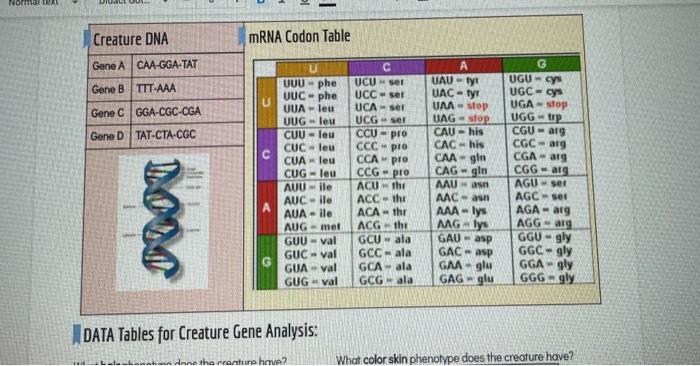 Solved Nora tezi Creature DNA mRNA Codon Table Gene A | Chegg.com