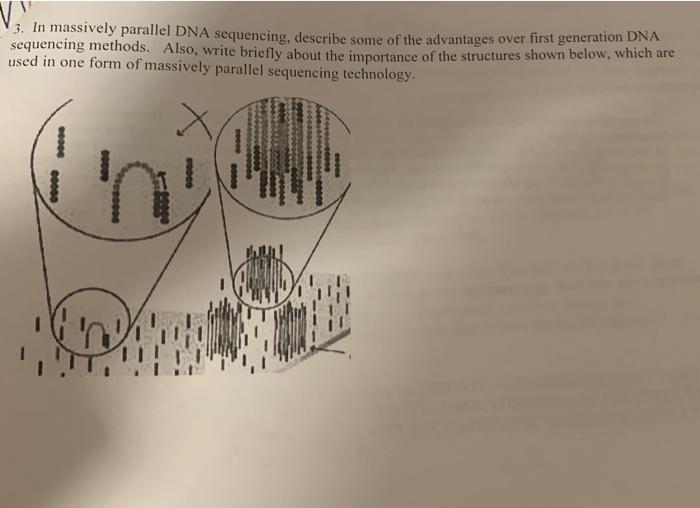 Solved 3 In Massively Parallel Dna Sequencing Describe 