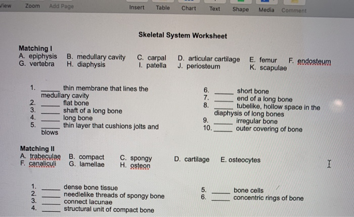 Solved View Zoom Add Page Insert Table Chart Text Shape | Chegg.com