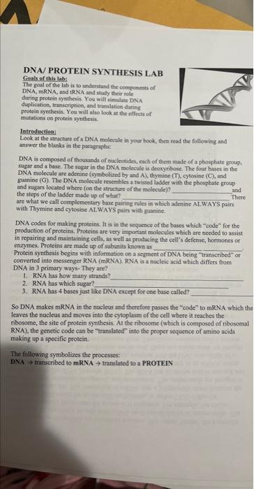 Solved DNA/ PROTEIN SYNTHESIS LAB Goals of this lab: The | Chegg.com