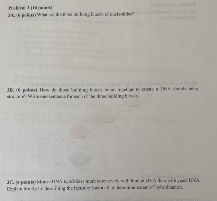 Solved Problem 3 (16 points) 3A. (6 points) What are the | Chegg.com Solved Problem 3 (16 points) 3A. (6 points) What are the | Chegg.com