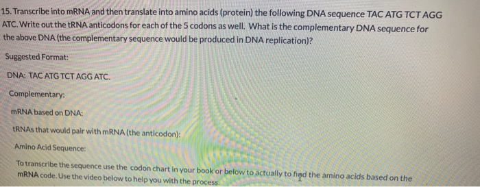 Solved 15. Transcribe into mRNA and then translate into | Chegg.com