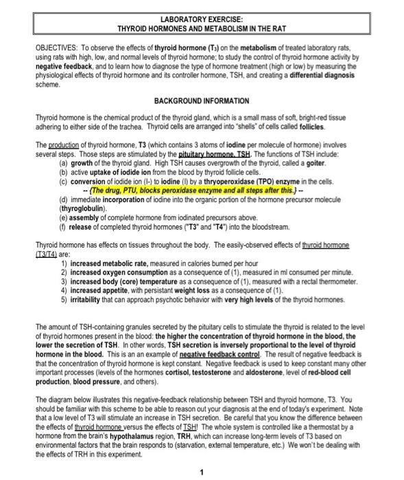 Solved LABORATORY EXERCISE: THYROID HORMONES AND METABOLISM | Chegg.com