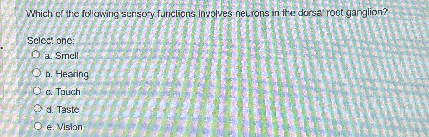 Solved Which of the following sensory functions involves | Chegg.com