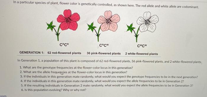 Solved In a particular species of plant, flower color is | Chegg.com