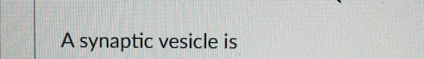 Solved A synaptic vesicle is | Chegg.com