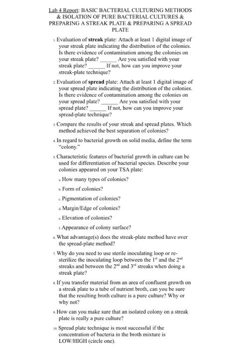 Solved MicrobiologyLab 4 Report: BASIC BACTERIAL CULTURING | Chegg.com