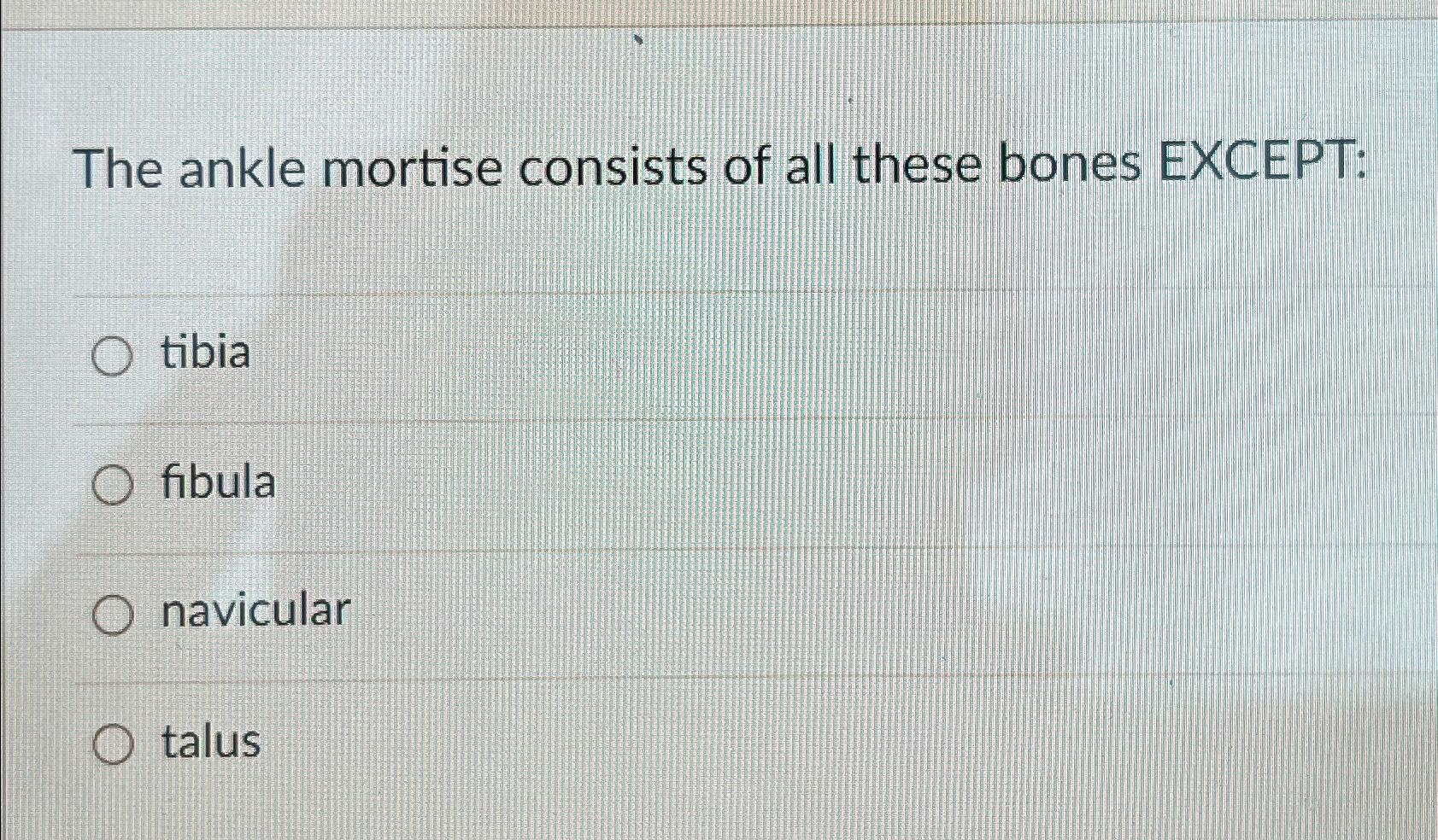 Solved The ankle mortise consists of all these bones | Chegg.com