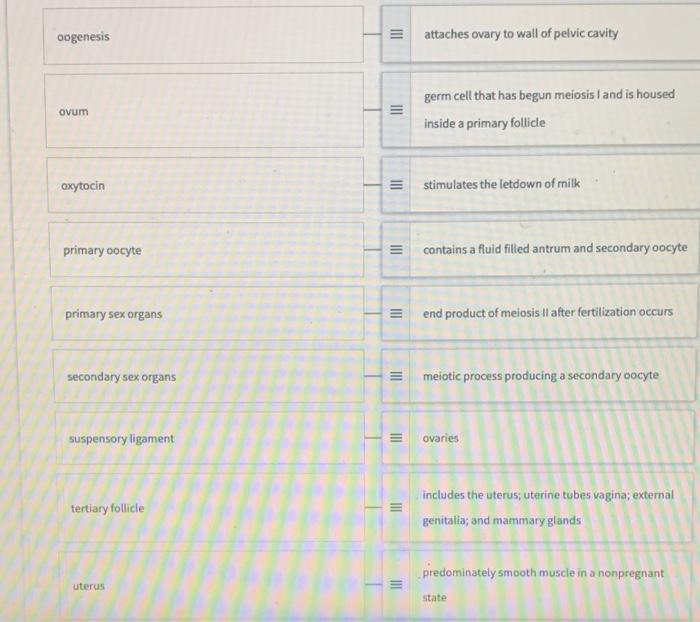 Solved Female Reproductive system key word matching. Match | Chegg.com