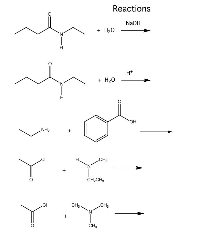 Solved Reactions O NaOH + H20 'N H H+ + H2O 'N H ОН NH2 + | Chegg.com