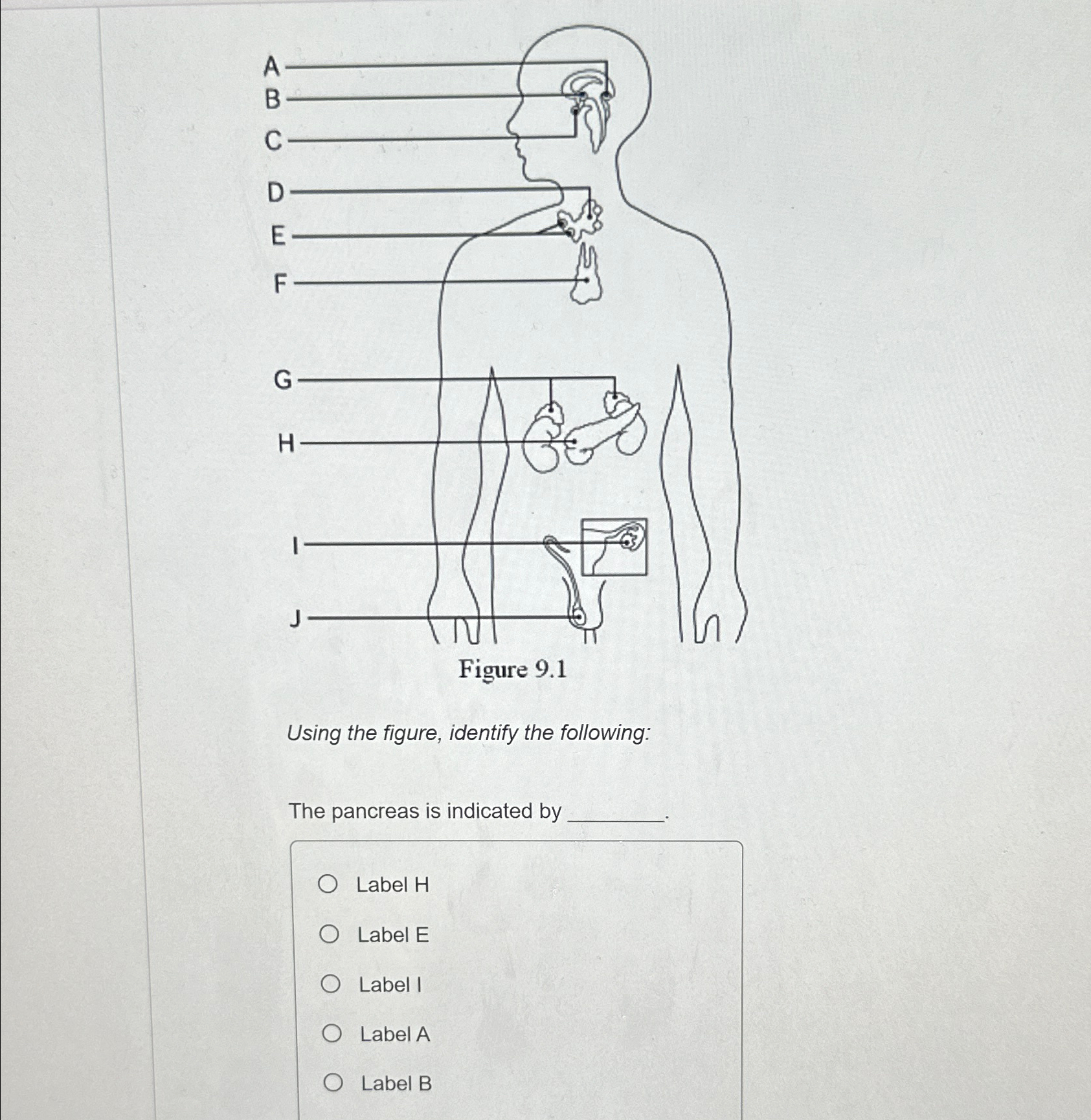 Solved Using the figure, identify the following:The pancreas | Chegg.com