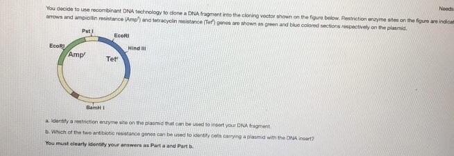 Solved You decide to use recombinant DNA technology to done | Chegg.com