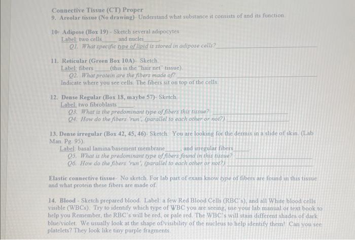 Solved Connective Tissue (CT) Proper 9. Areolar tissue (No | Chegg.com