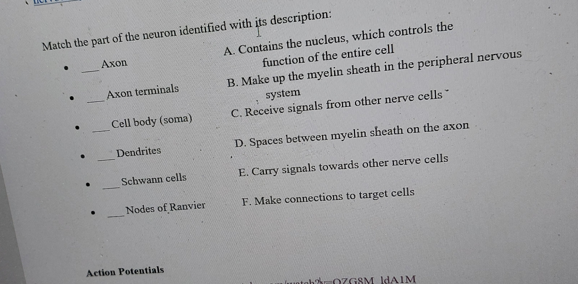 Solved Match the part of the neuron identified with its | Chegg.com