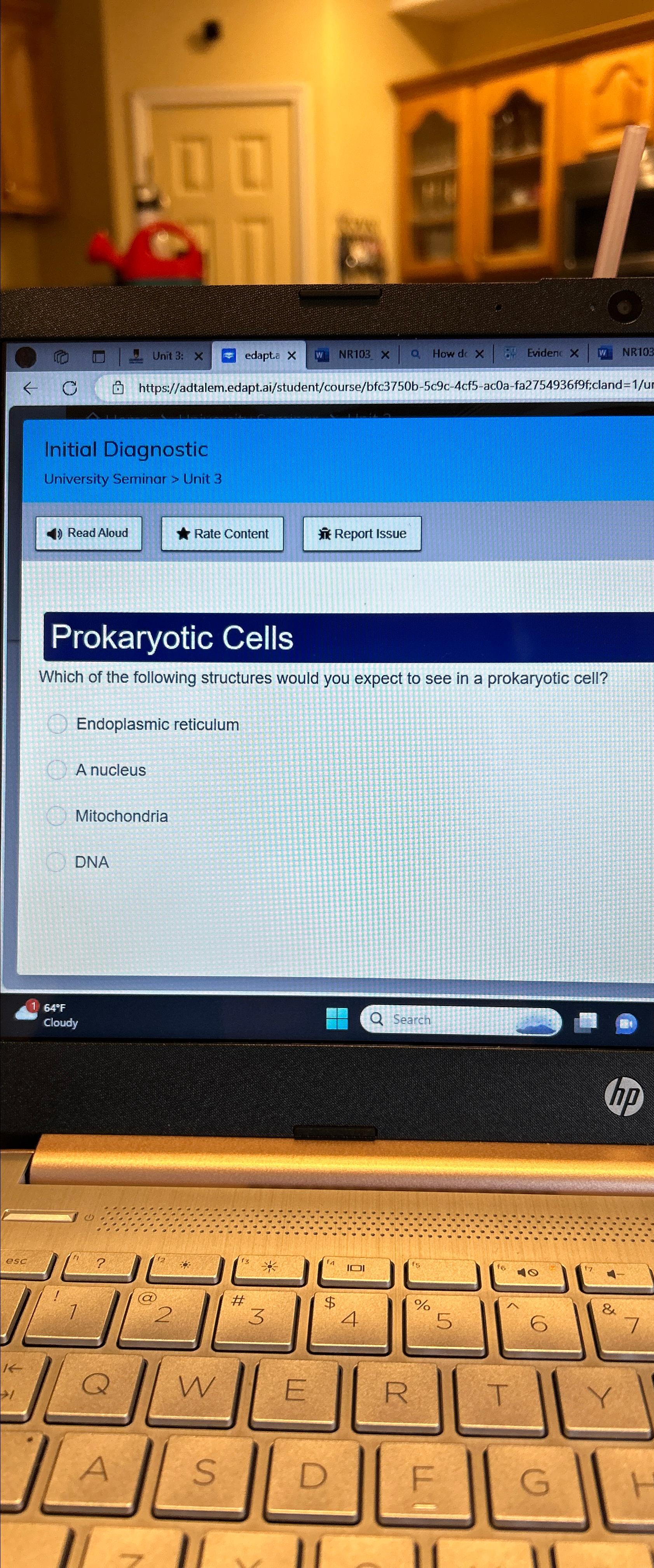 Solved Initial DiagnosticUniversity Seminar > ﻿Unit | Chegg.com